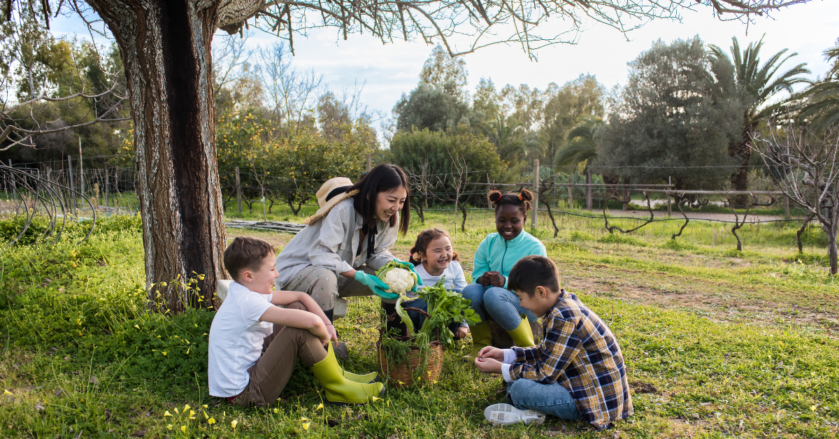 What Is Natural Environment Teaching? A Comprehensive Guide